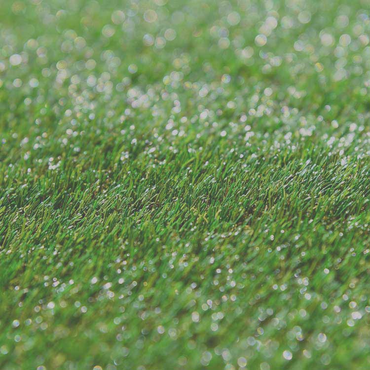 Trade Directory | Ladies Renovating Collective